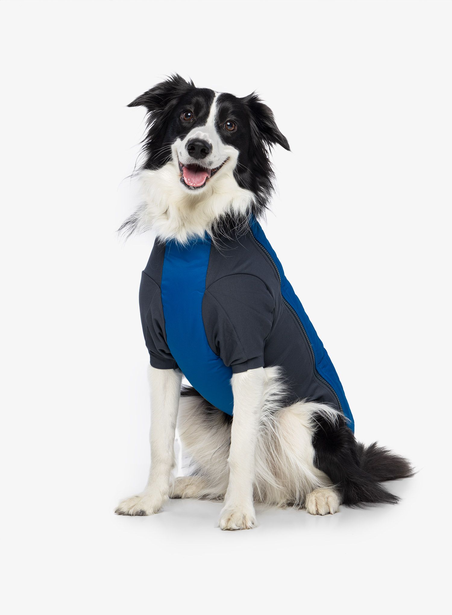 Bunda pre psa Ruffwear Powder Hound Jacket - pool blue | 8a.sk